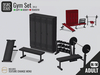 Second Life Marketplace - Full Gym Set (Adult - M/M)